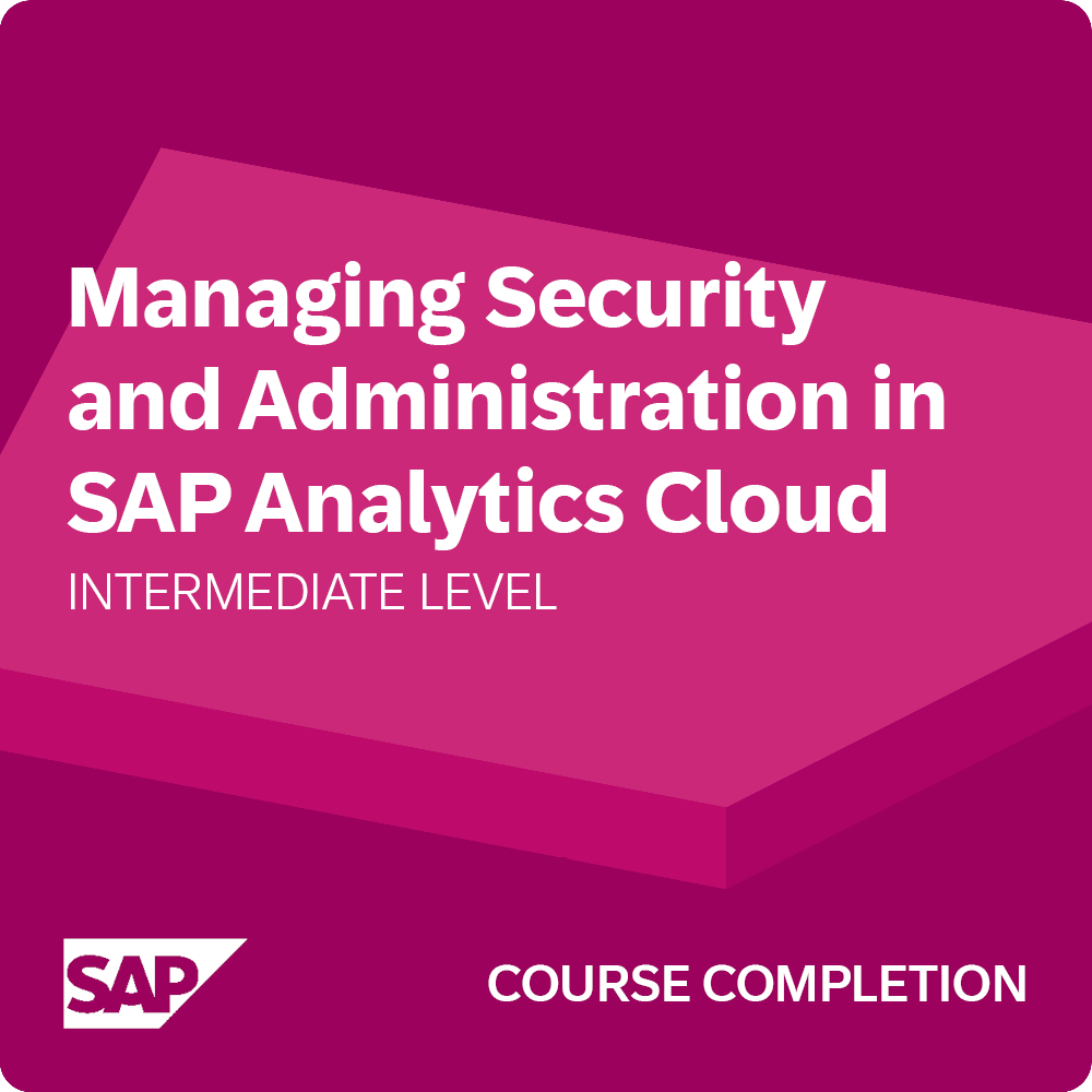 Badge Verification Managing Security and Administration in SAP ...