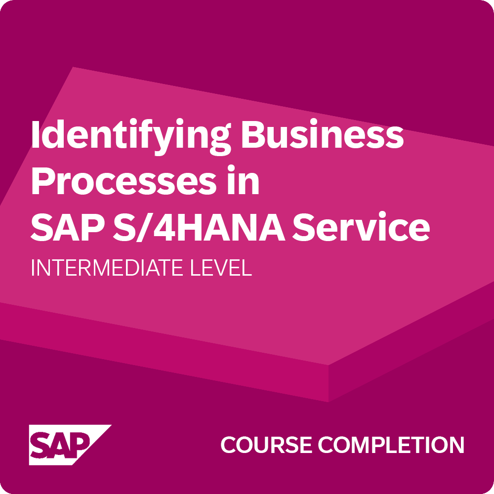 Badge Verification Identifying Business Processes in SAP S/4HANA ...