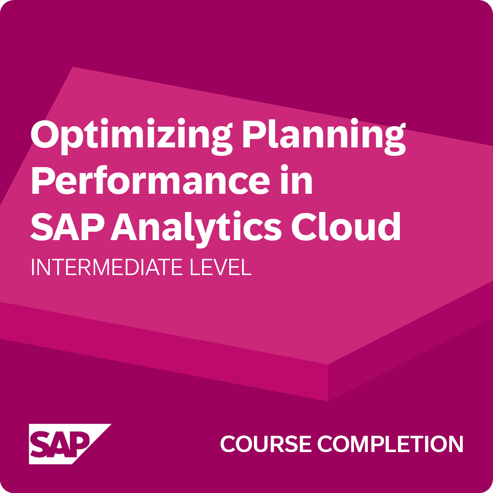 Badge Verification Optimizing Planning Performance in SAP Analytics ...