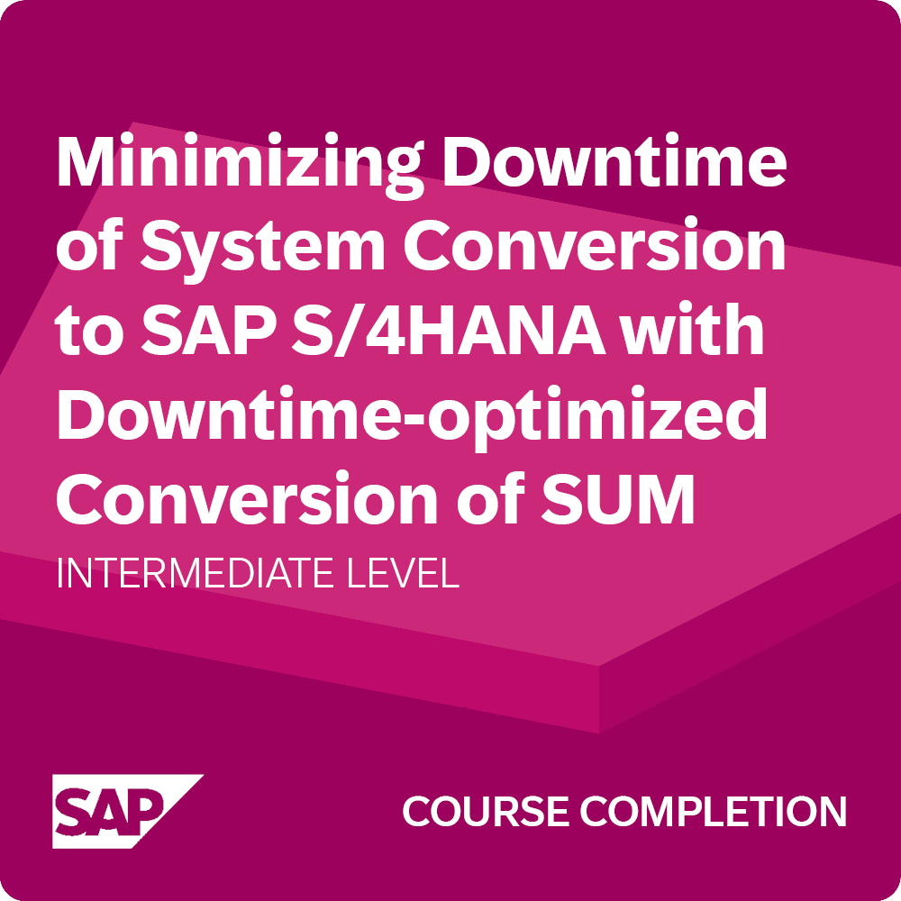 Badge Verification Minimizing Downtime of System Conversion to SAP S ...